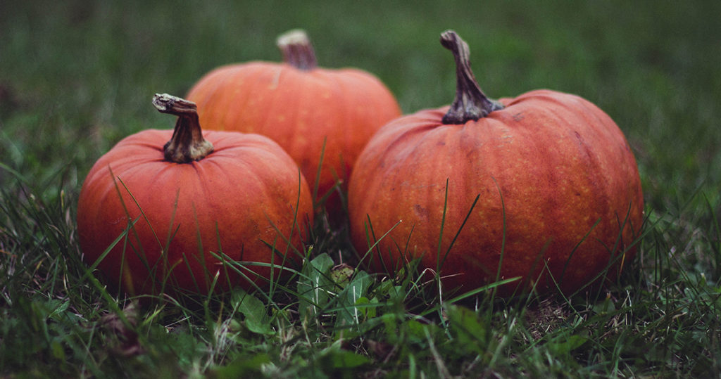 7 Fall Festivals In Georgia You Don't Want To Miss - AtlantaFi.com