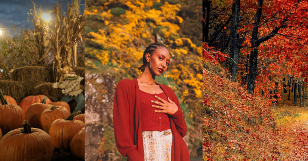 Georgia Fall Foliage Map 2023: Where & When To See Gorgeous Peak Leaves ...